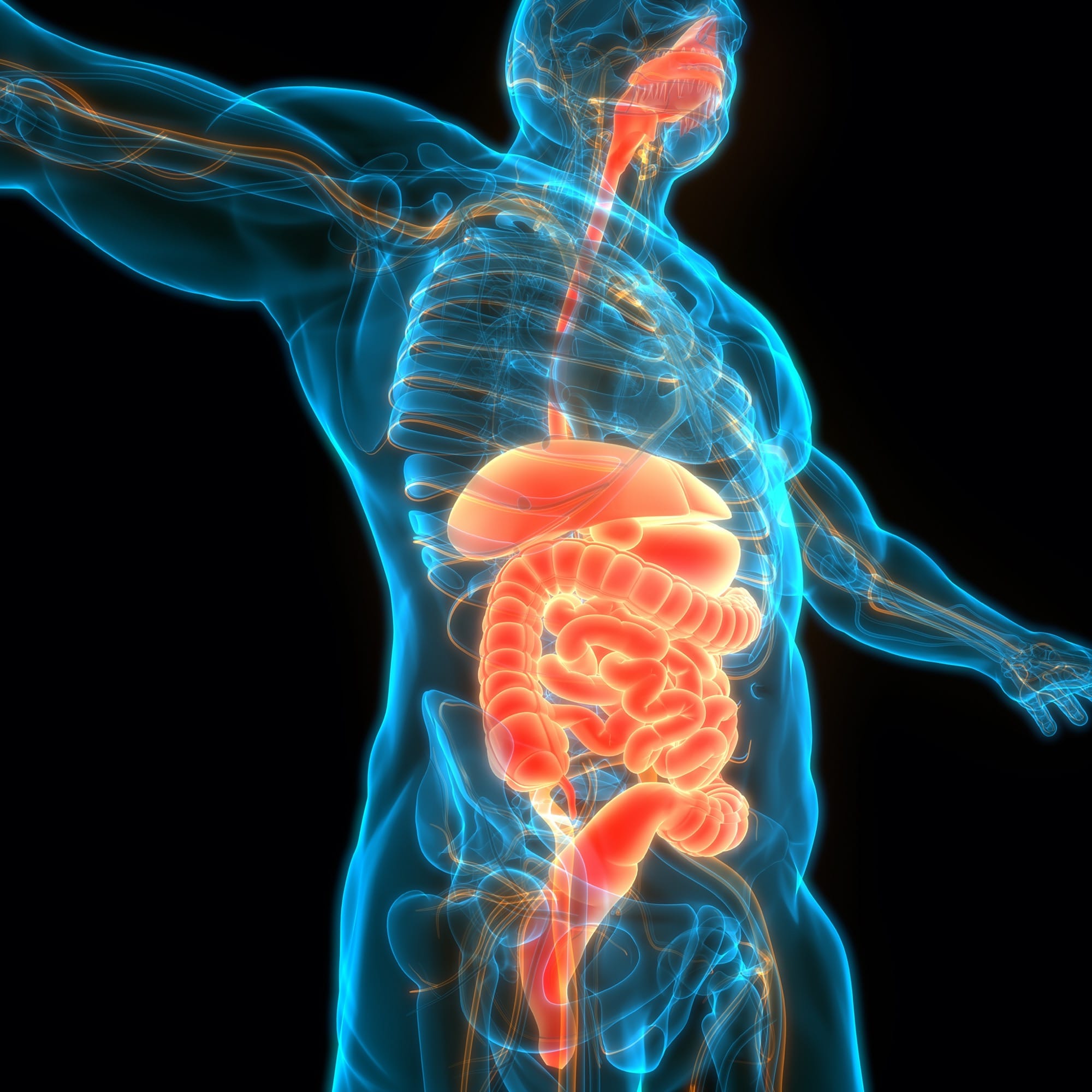 Procedures - Dr Howard Tang and Dr Matt Kitson